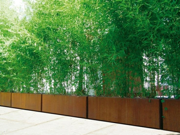 Corten Steel Planter Boxes Melbourne - Bamboo Plus