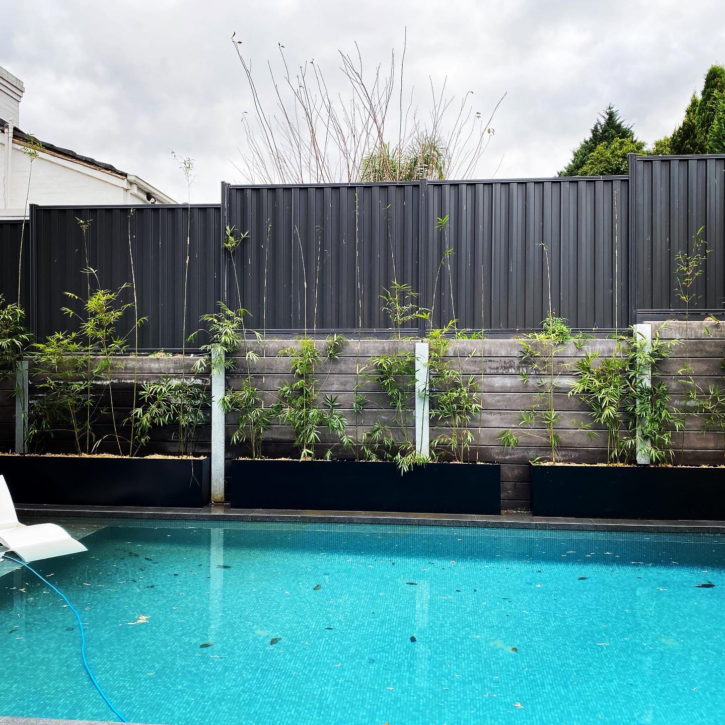 Planter Boxes Melbourne – Bamboo Planter Box | Bamboo Plus