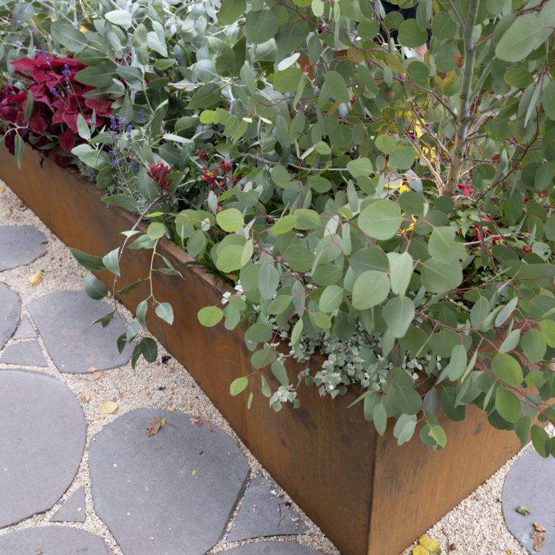 Corten Steel Planter Boxes Melbourne - Bamboo Plus