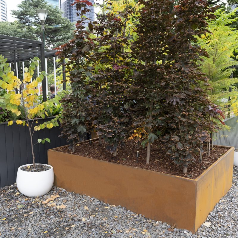 REDCOR® Corten Steel Planter Rings - Bamboo Plus